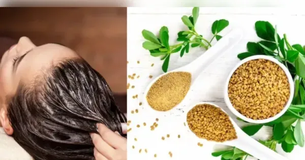 What is the right way to use fenugreek in hair?